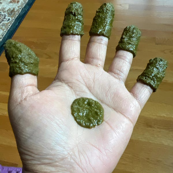 CALOTROPIS GIGANTEA Giant / Madar/ Milkweed Tree Plant Butterfly Garden ...