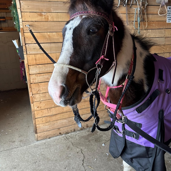 Custom Handmade PINK Bridle Leather Buckstitched Split Ear Headstall - Etsy