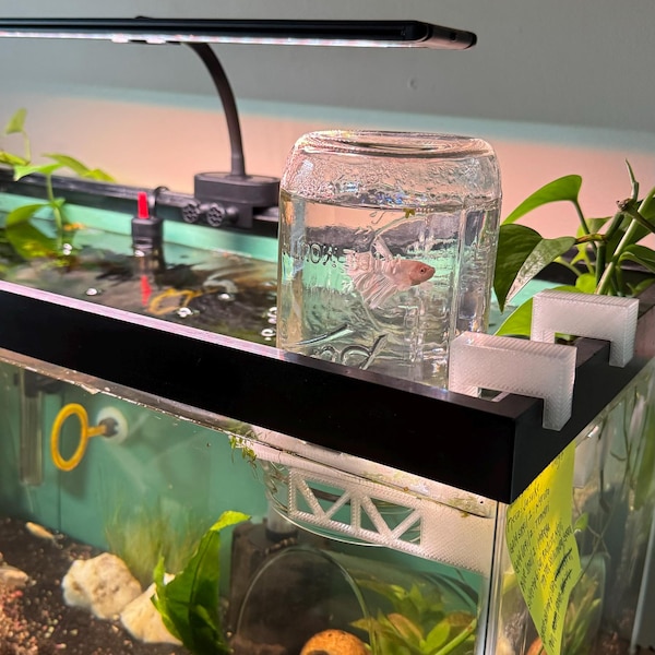 Inverted Betta Tank Holder, Panoramic View for Betta Fish, 360 View for ...