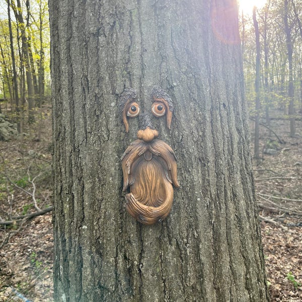 Opening Fairy Door and Windows for Trees – Glow in the Dark - Super ...