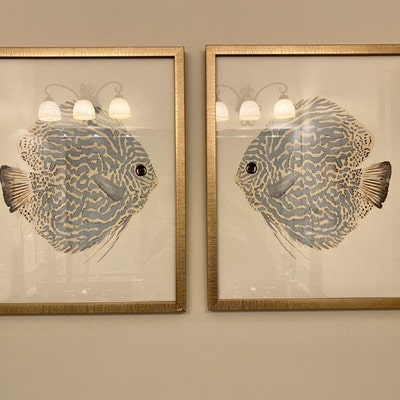 Abstract Discus Fish, Set of 2 Prints, Modern Coastal Wall Decor ...