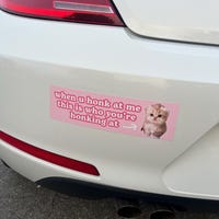 New Driver Pls Be Nice Sad Hamster Car Bumper Sticker Crying Funny Cute ...