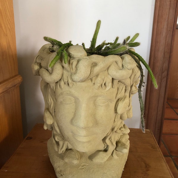 MEDUSA HEAD PLANTER (4 Color Option): Durable Stone Flower Pot Bust ...