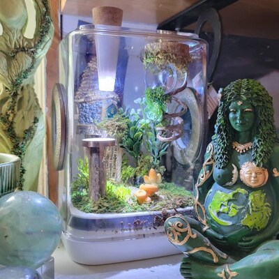 Jumping Spider Enclosure 5x5x9 Spider House, Spider Tank, Spider ...