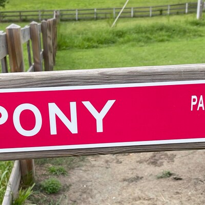 Pony, Pony Gift, Pony Sign, Pony Decor, Pony Lover, Small Horse, Ranch ...