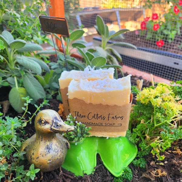 Acorn Svg, Digital Download, Fall Svg, Fall Stencil, Vector Acorn, DXF ...