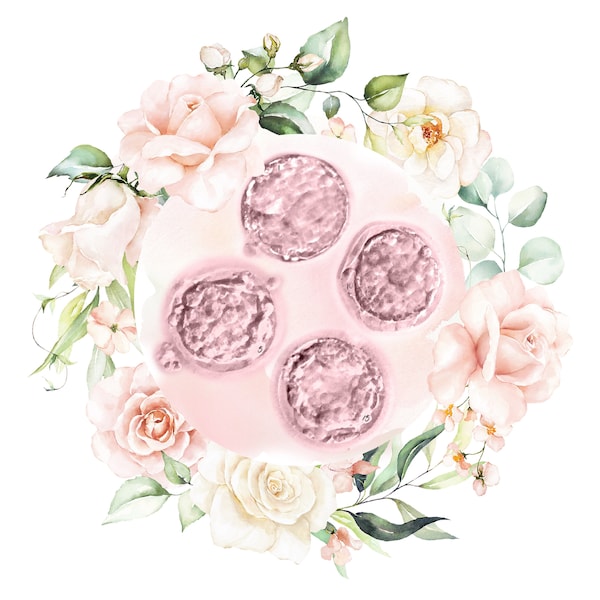 Custom Embryo Art Print Floral Watercolor Roses Nursery Decor - IVF ...