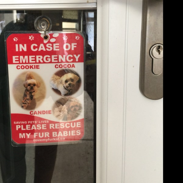 Cat Carrier/dog Carrier/kennel Travel Tag/kennel Tag/crate Tag/travel ...