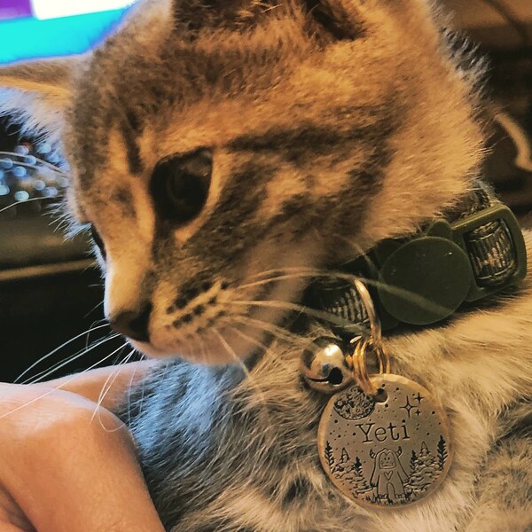 Cemetery Dog Tag Ghost Dog Tag Halloween Dog Tag Crow Raven Dog Tag Pet ...