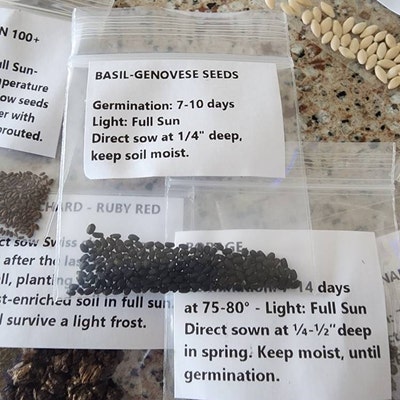 Tomato Floridade 300 Seeds Heirloom Loves Hot & Humid - Etsy