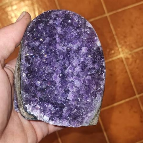 Flash Sale BEAUTIFUL RAINBOW Arizona Petrified Wood Slab Polished both ...