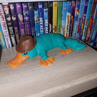 Large Articulated Platypus 3D Printed Figure With Removable Hat ...