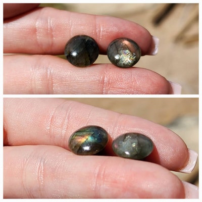 Narra Wood Fake Gauge Pincher for Pierced Ears FREE - Etsy UK