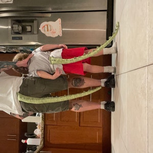 Toothless Tail. How to Train Your Dragon. Black AND Red Fins. - Etsy