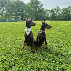 Spiderman Dog and Cat Bandana With Optional Personalization, Matching ...