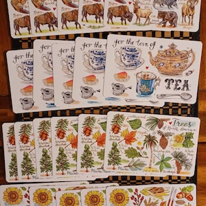 Louisiana Notebook State Symbols Blank Journal New Orleans | Etsy