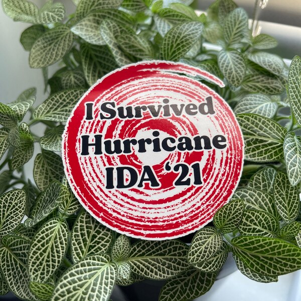 I Survived Hurricane Helene '24 Vinyl Sticker/ Debbie| Waterproof ...