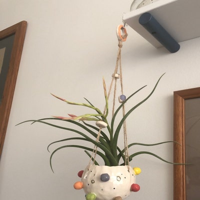 The Random Pots Collection Handmade Ceramic Hanging Planters, Succulent ...