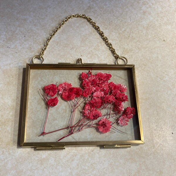 Gold Floating Frames Denim Fabric Pressed Orchids Carnations Lilies ...
