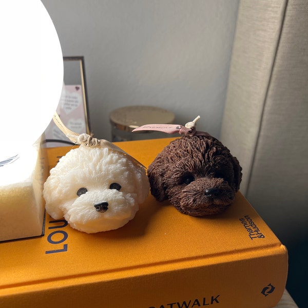 Everything Wax Melts Fun Wavy Squiggle Shape Unique Scented Wax Cute ...