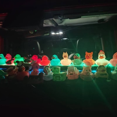 Duckwood LED , the Original LED Duck Bar - Etsy