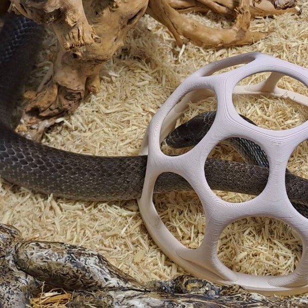 Snake Jungle Gym, Reptile Climbing Frame, Climber Enrichment for ...