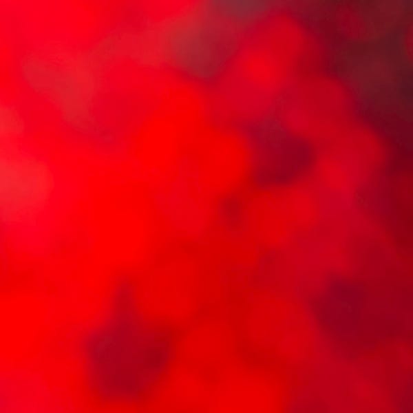 Silver Pandora Sparkling Palm Tree Dangle Charm - Etsy