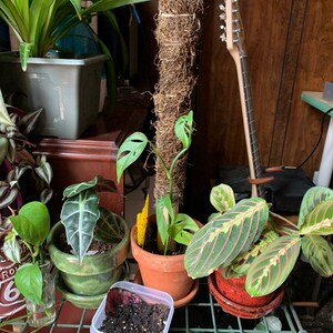 Macrame Plant Trellis Handmade Natural Trellis for Plants | Etsy