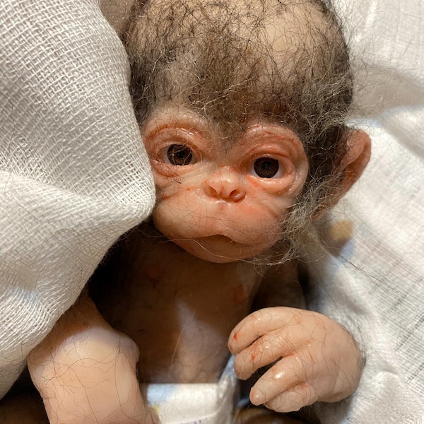 Handmade Realistic Lifelike Womb Drink-wet Micro Preemie Girl KATE ...