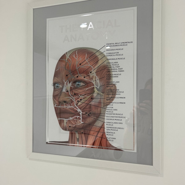 Poster Anatomie des muscles faciaux déjoués surélevés - Etsy France