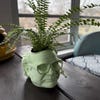 Horror Movie Planters for House Plants and Succulents - Etsy