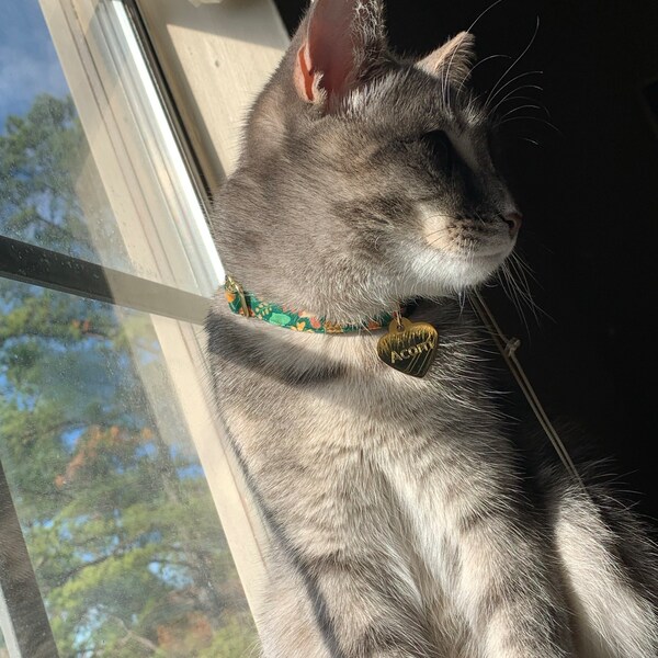 Cat Collar - "forest Fantasy" - Green Cat Collar / Breakaway + Non ...