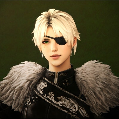 Final Fantasy XIV Static Portrait Commission - Etsy