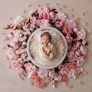 Digital Backdrop Maternity Photo Digital Background Pregnancy Photo ...