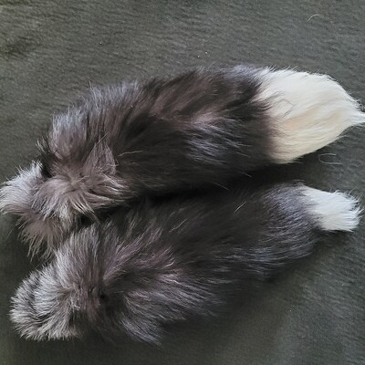 Professionally Soft Tanned Large 1 Grade Iowa Raccoon/coon Hide/pelt - Etsy