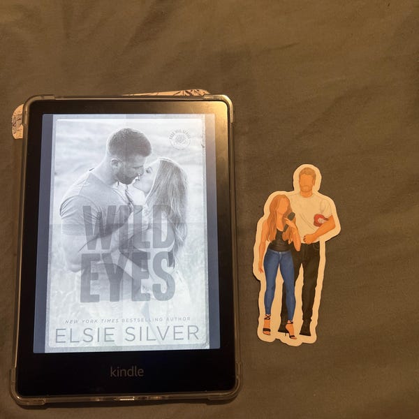 Chestnut Springs Sticker Pack Elsie Silver Booktok Small Town Romance ...