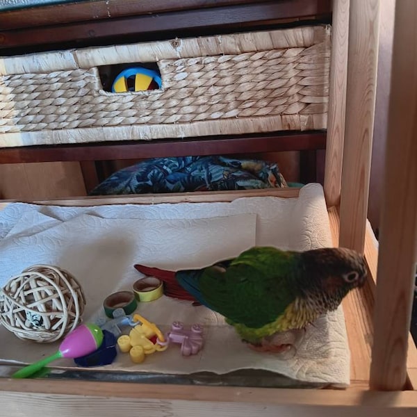 Double-decker Adventure Tunnel Safe Hut, Sleep Tunnel or Birdie Tent ...