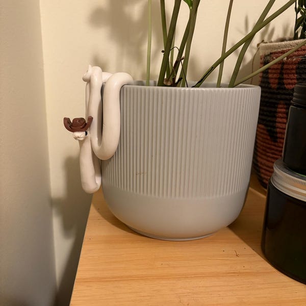 Yellow Morphe Snake Plant Pal Pose 3 - Etsy