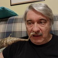 Lydia Deetz Tim Burtons Beetlejuice - Etsy Canada