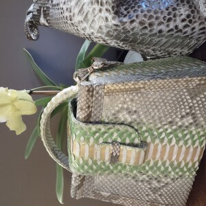 Snakeskin Purse Python Crossbody Bag Python Purse Multicolor Purse ...