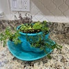 Succulent Planter / Azalea Pot / Ceramic Succulent Pot / Ceramic Flower ...