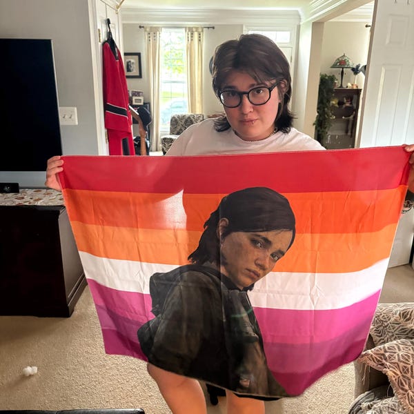 Ain't No Party Like A Diddy Party Funny Flag Tapestry, Meme Flag ...