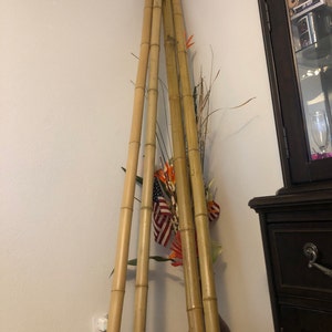 1" Fresh Cut Bamboo - Choose From 1 to 8 Feet Long - Etsy