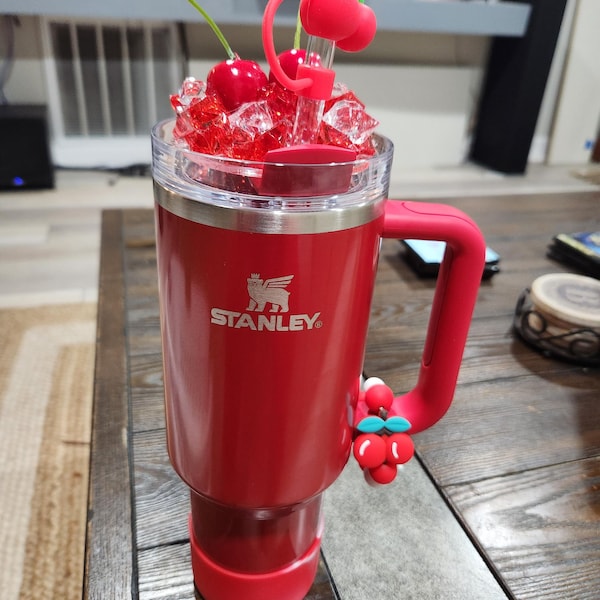 Stanley Ice Topper-fruit - Etsy