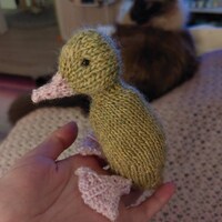 KNITTING PATTERN NEW Lucky Duckling - Etsy Canada