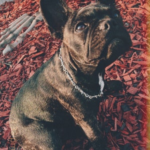 Razor Blade Silver Necklace & Pendent Emo Goth Cool Fashion Rock Tattoo ...