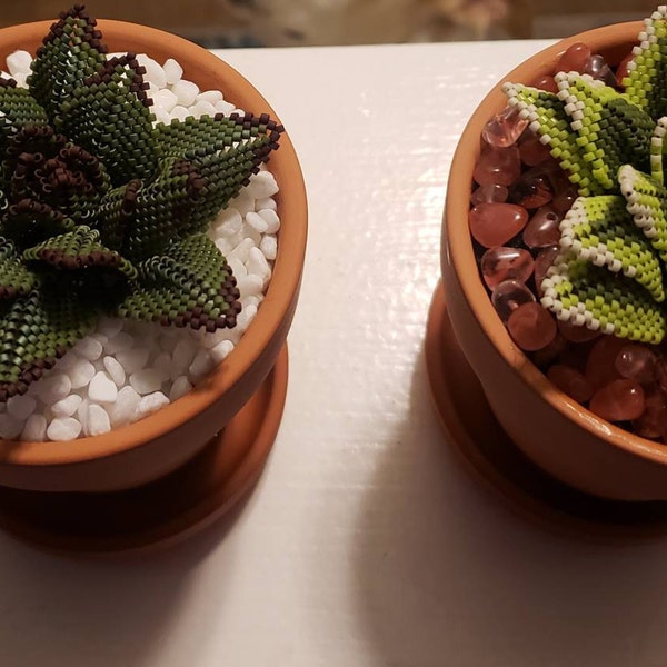 Beaded Succulents Sewing Pattern - Seed Bead Tutorial (PDF) - Etsy