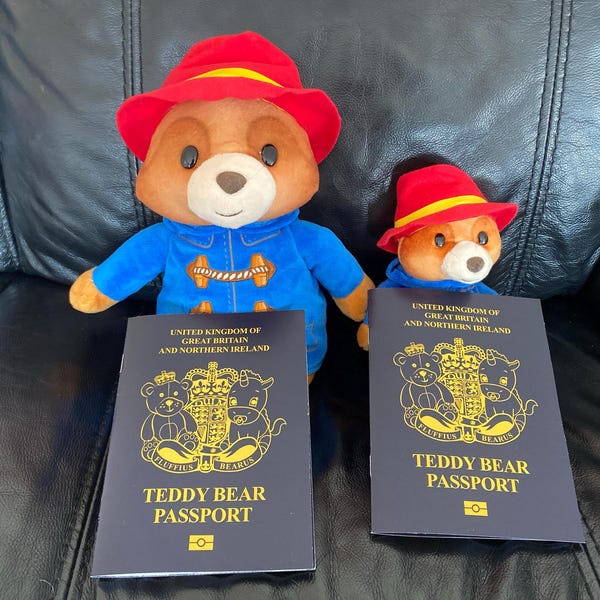 American Teddy Bear Passport - Personalised Passport for American ...