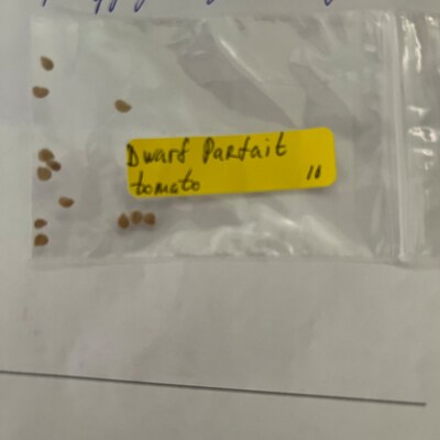 Amber Baron, Tomato Seeds From Kazakhstan Variety - Etsy