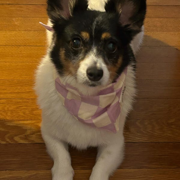 Y2K Dog Bandana - Etsy